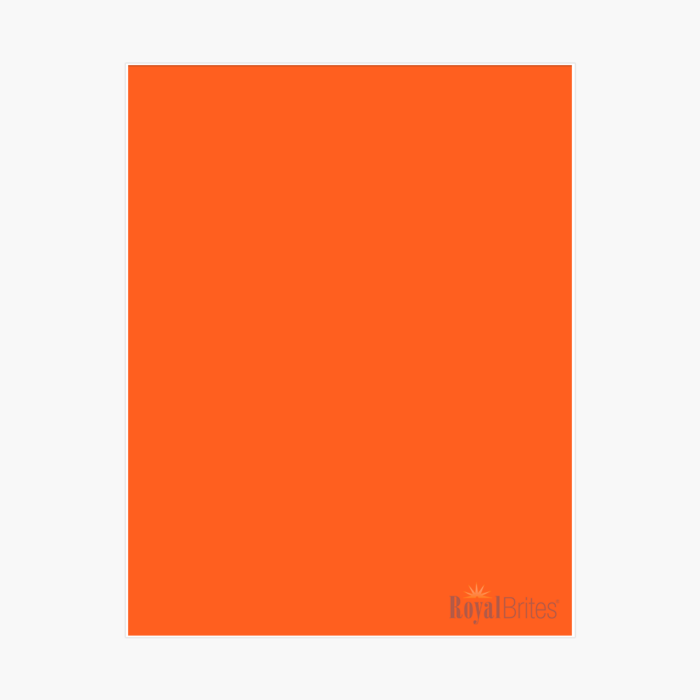 Neon Poster Board 11"x14", 5 Assorted Colors by Royal Brites ...