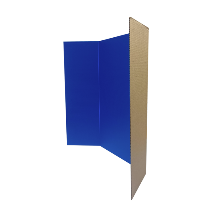 Royal Brites Project Board for Science Fair | TheRoyalStore